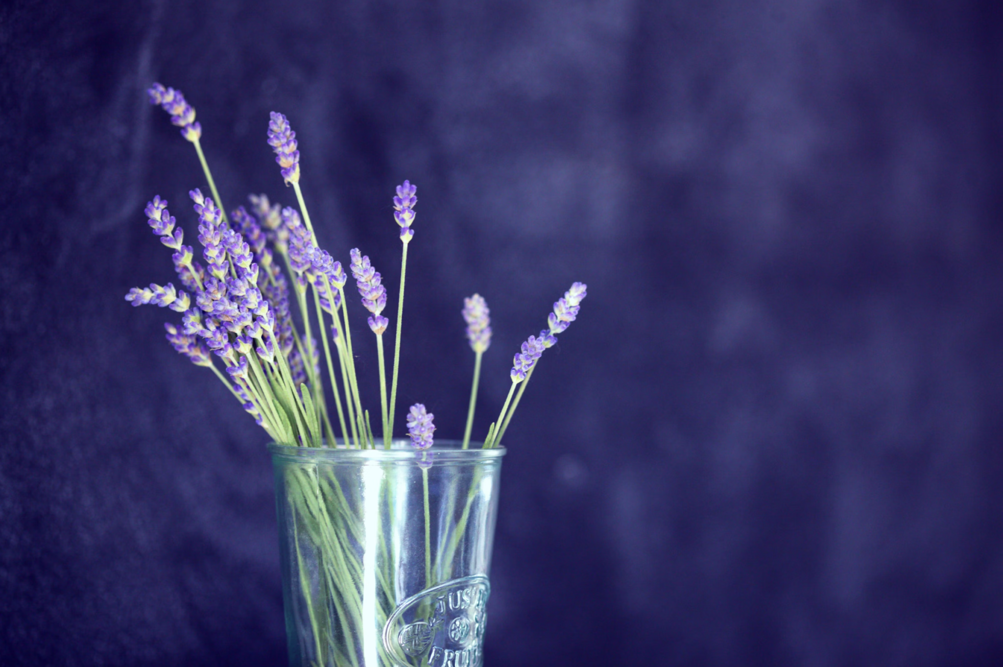 6 Bedroom Plants to Help Ease Insomnia and Sleep Apnea - The Plant Gallery